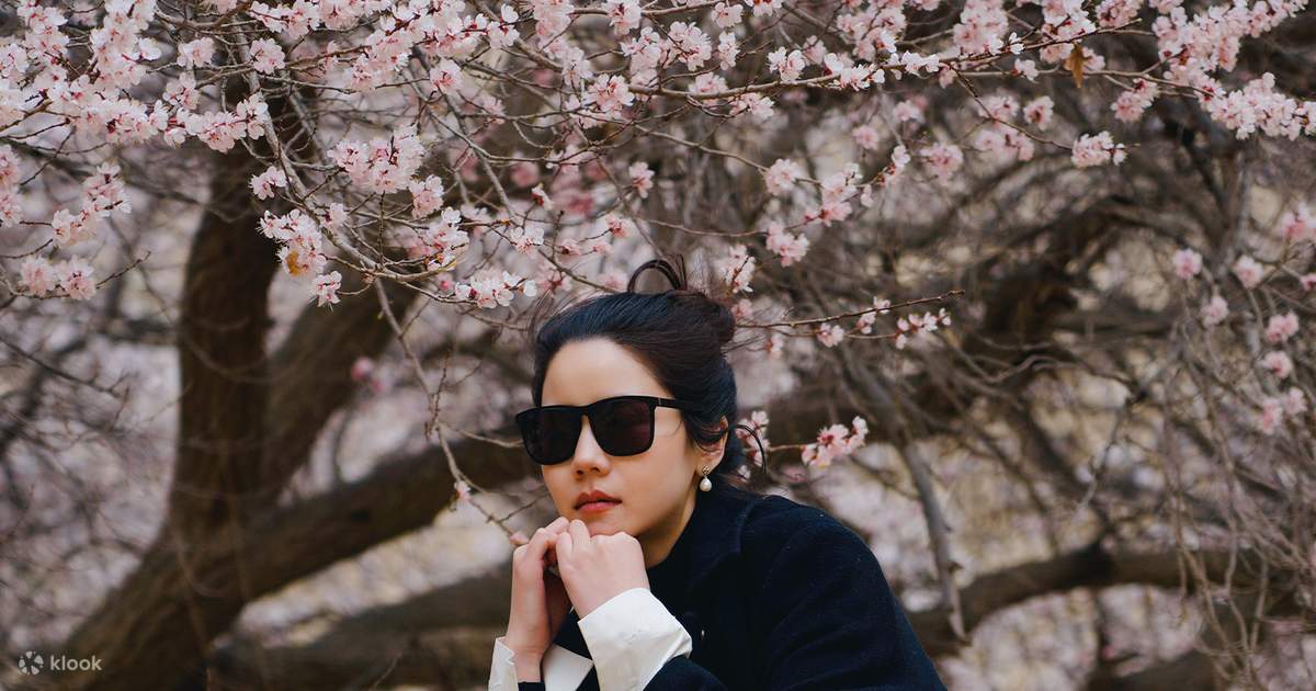 [Spring Limited] Xinjiang Apricot Festival in Southern Xinjiang 7 Days ...